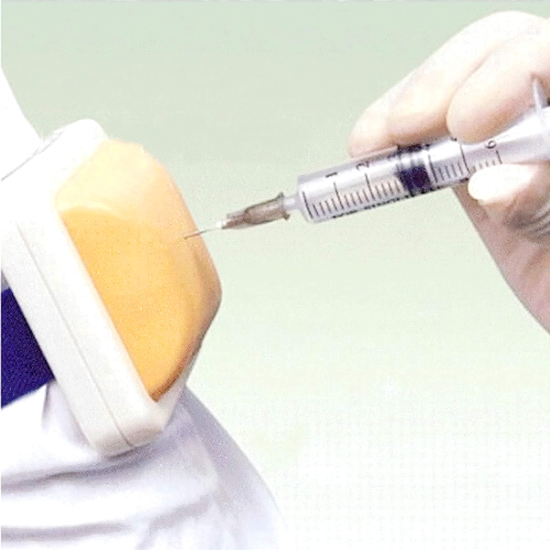Intramuscular (IM) Injection Training Model – The Suture Buddy